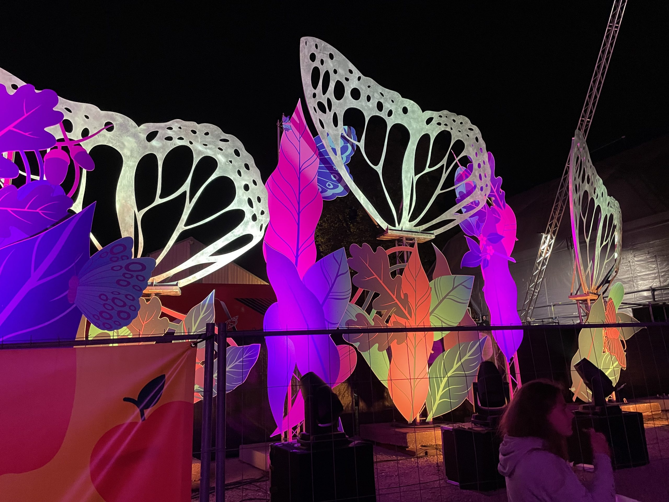 Festival Papillons de Nuit 2023 | Spectaculaires - Allumeurs d'images